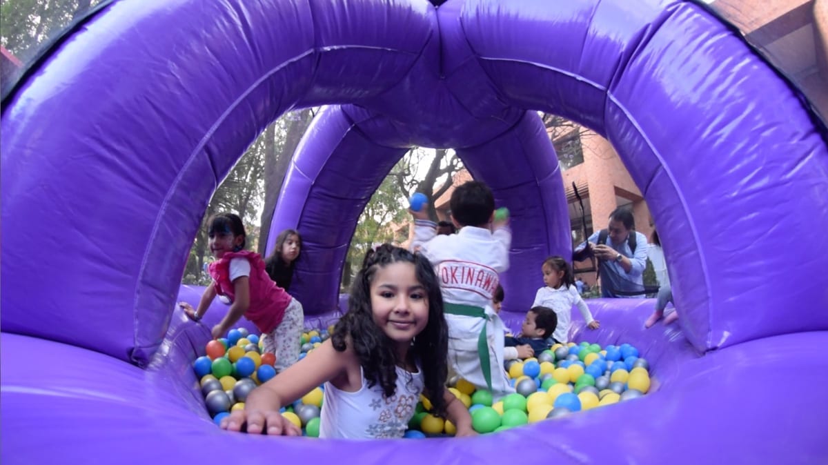 Renta Inflables para Fiesta de Niños en CDMX | Inflables Pelotinas